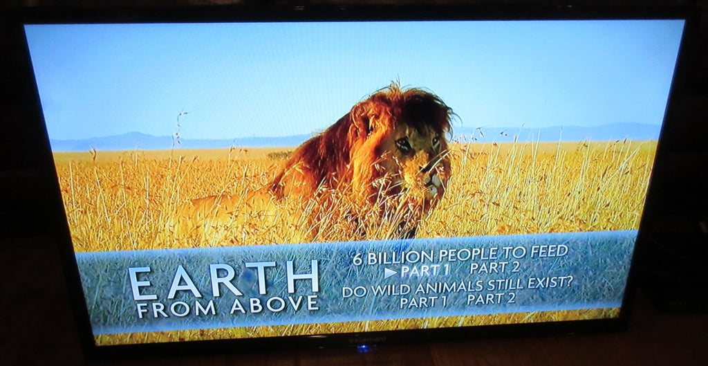 USED ELEMENT ELEFW328 Television Grade B | MoreTVParts